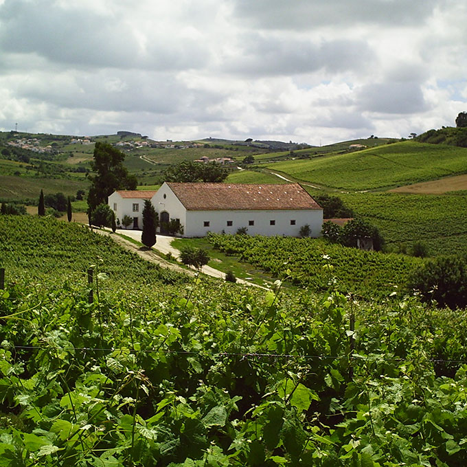 Quinta do Conde - About us